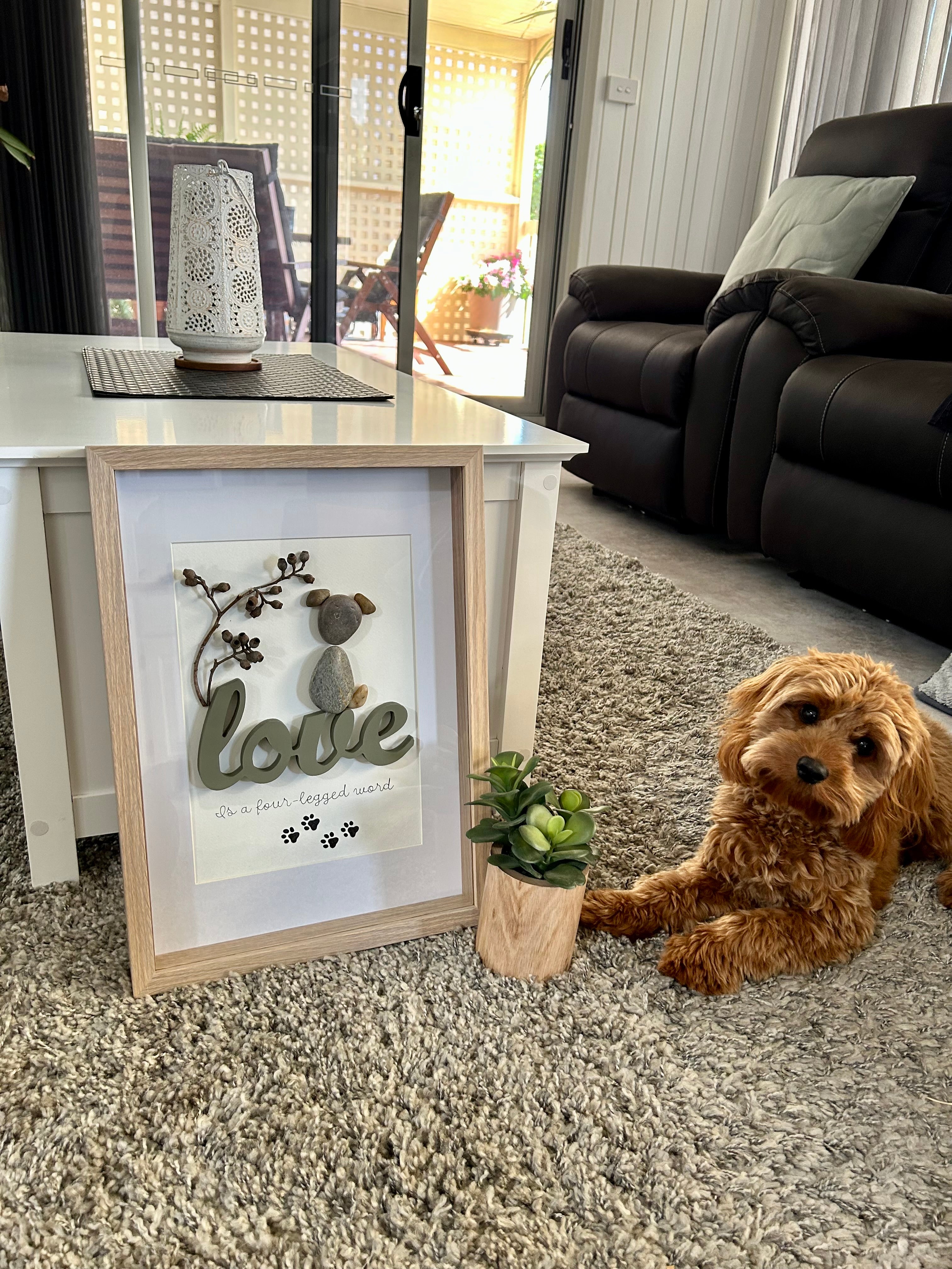 Introducing CHARLIE 🤩 my 1yo Cavoodle ️ – Gone Dotty AU